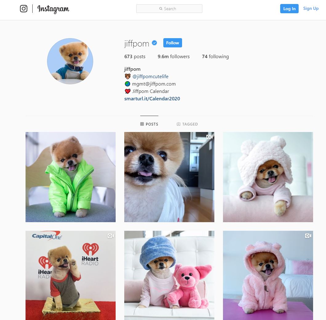 What Baby Yoda Can Teach Us About the Future of Memes